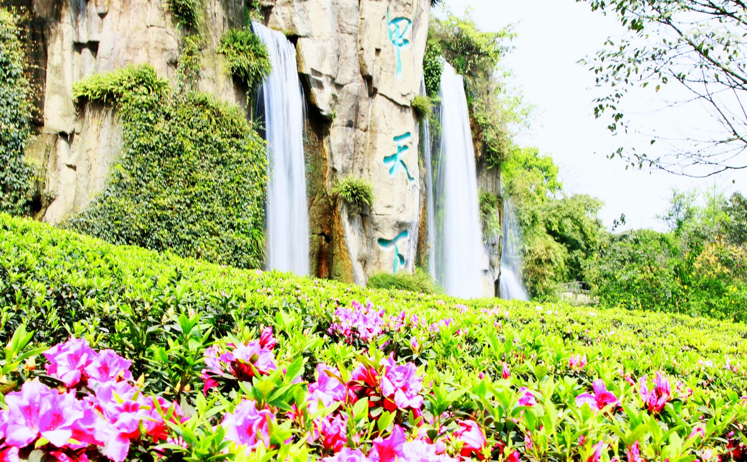 Backpacking in Sichuan Province: Chengdu | Backpacking in China